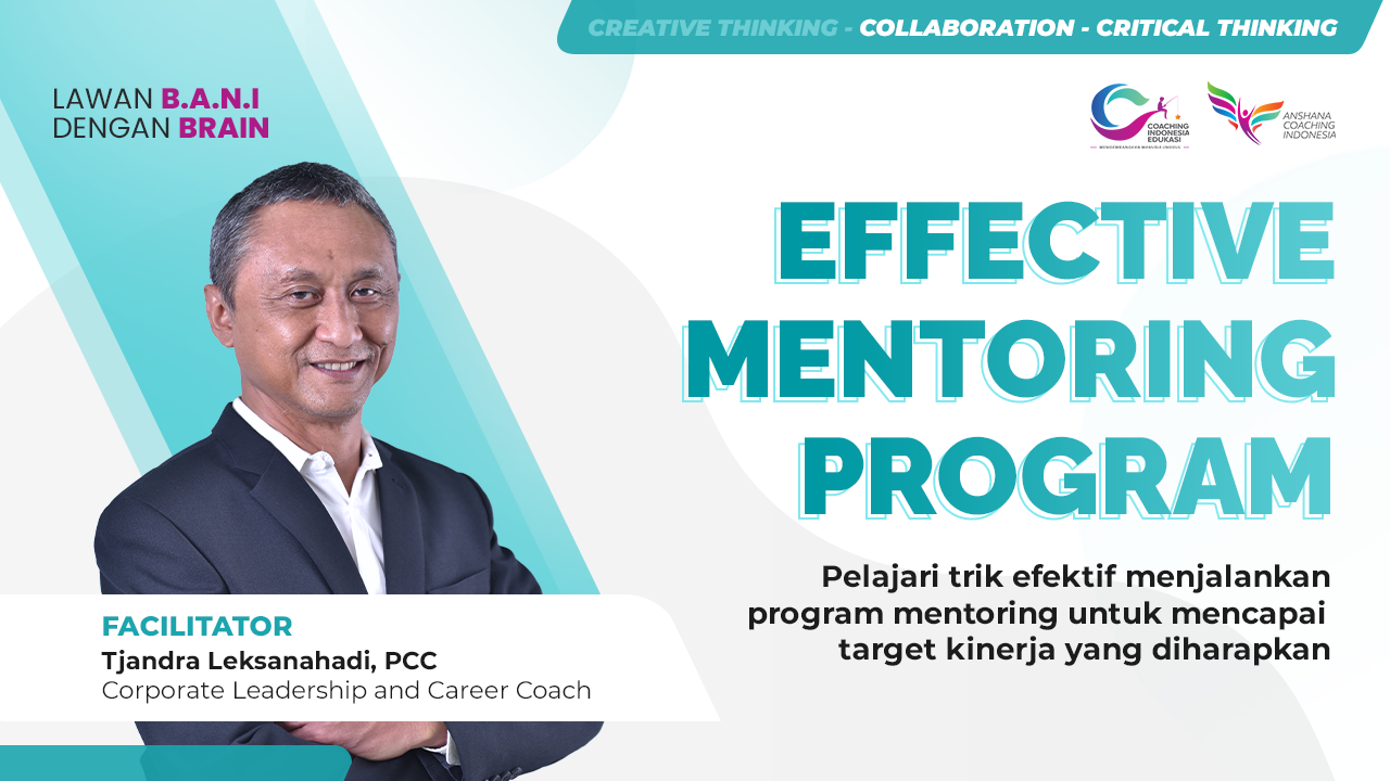 Effective Mentoring Program 15 - Wujudkan Potensi Terbaik Anda dengan Visecoach