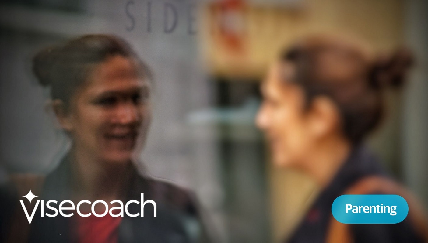 Taufiq Ommar Malik - Coaching - Visecoach