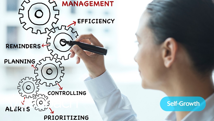 5 Area Pengembangan Diri Visecoach